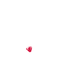 DANiNJECT | Professional humane immobilization and treatment equipment