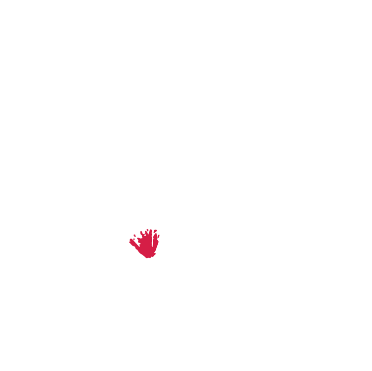 DANiNJECT | Professional humane immobilization and treatment equipment