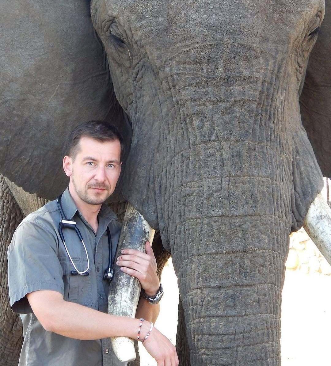 Healing elephants with aching tusks